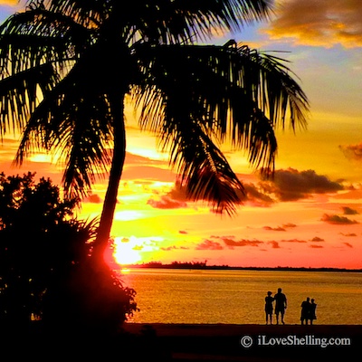 Sunsets Of Sanibel Island | I Love Shelling