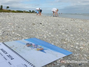 The Sanibel Stoop Calendar Is Here! | I Love Shelling