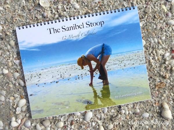 The Sanibel Stoop Calendar Is Here! | I Love Shelling