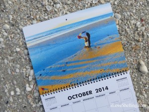 The Sanibel Stoop Calendar Is Here! | I Love Shelling