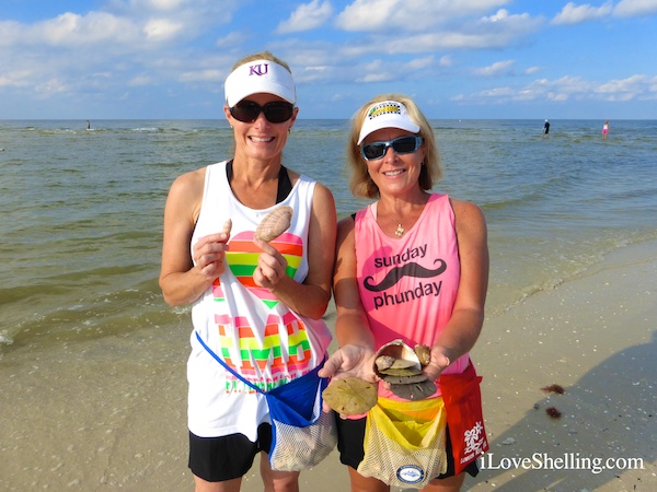 Low Tide Shelling On Fort Myers Beach | I Love Shelling