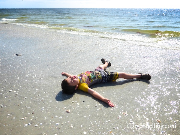 Sanibel Sand Angels for Sand Dollars | I Love Shelling