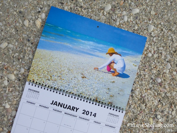 The Sanibel Stoop Calendar Is Here! | I Love Shelling