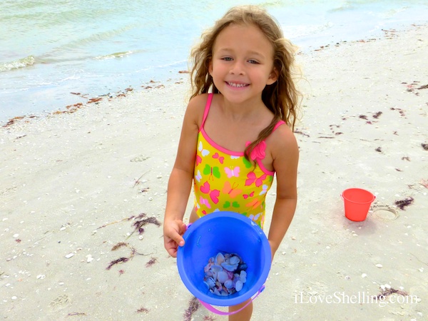 Sanibel Sand Angels for Sand Dollars | I Love Shelling