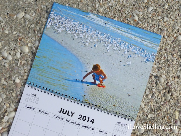 The Sanibel Stoop Calendar Is Here! | I Love Shelling