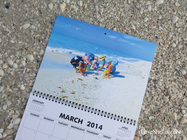The Sanibel Stoop Calendar Is Here! | I Love Shelling