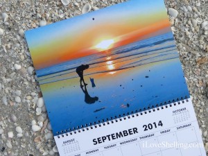 The Sanibel Stoop Calendar Is Here! | I Love Shelling