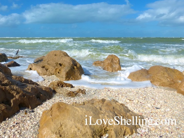 Giving Thanks For Beaches of Southwest Florida | I Love Shelling