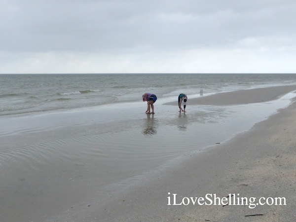 Weekend Of Wonder | I Love Shelling