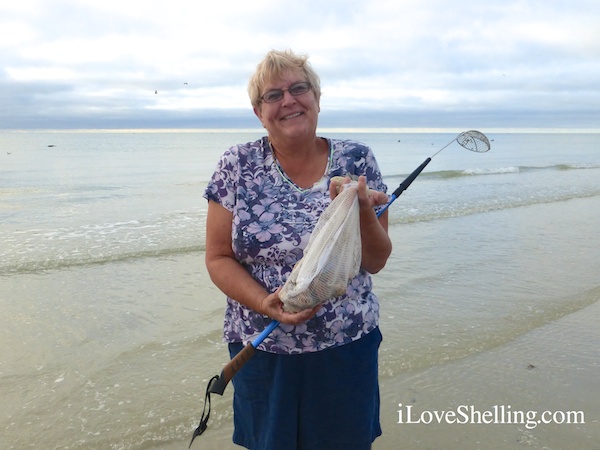Shellebrating Outrageous Shelling Days | I Love Shelling