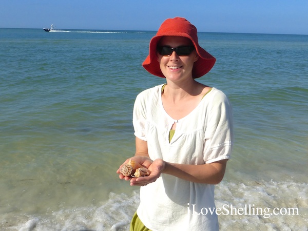 Shorts, Sunshine and Shelly Shorelines | I Love Shelling