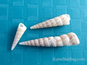 Boring Turret Not So Boring | I Love Shelling