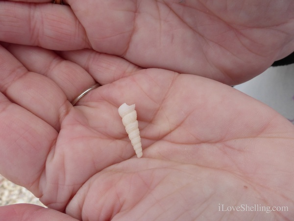 Boring Turret Not So Boring | I Love Shelling