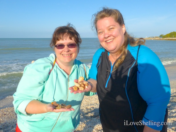 Sunrise Shelling | I Love Shelling