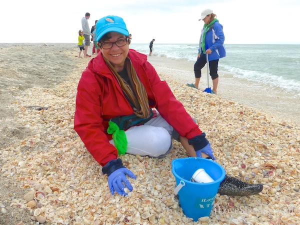 Finding Seashells By The Seashore at Shellabaloo 4 | I Love Shelling