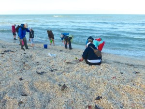 Sunrise Shelling | I Love Shelling