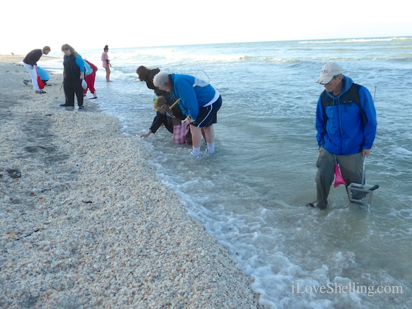 Sunrise Shelling | I Love Shelling