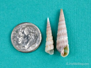 Boring Turret Not So Boring | I Love Shelling