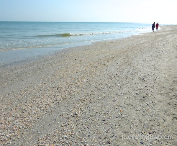 Peaceful Retreat To The Beach | I Love Shelling