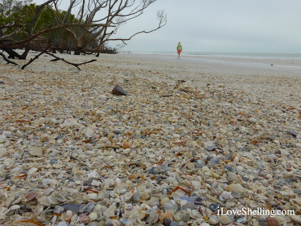 Treasures of Beachcombing on Fort Myers Beach | I Love Shelling