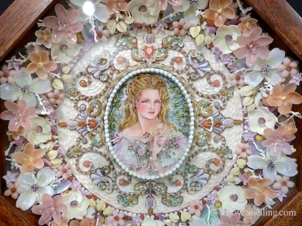 My First 2014 Sanibel Shell Festival Entries | I Love Shelling