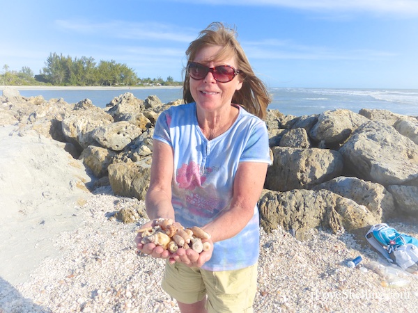 Seashells Rock Southwest Florida | I Love Shelling
