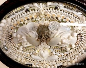 Seashells And Beach Bling Arrive Shell Festival Week | I Love Shelling