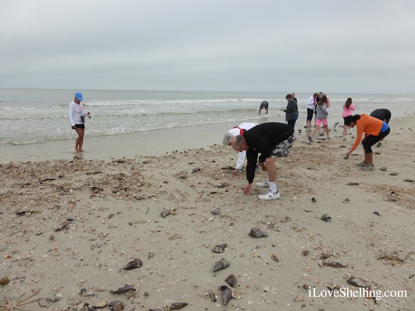 Treasures of Beachcombing on Fort Myers Beach | I Love Shelling