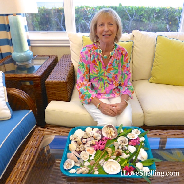 Shellabaloo Shellartist Gallery of Shell Collections | I Love Shelling