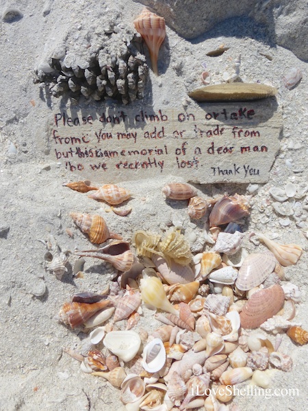 Sanibel Wishes and Memories | I Love Shelling