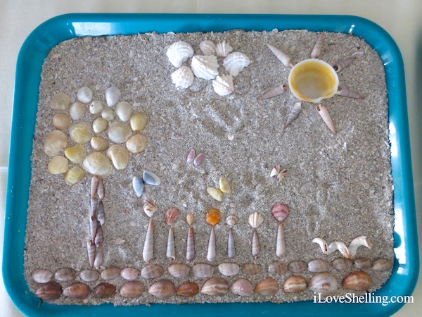 Shellabaloo Shellartist Gallery of Shell Collections | I Love Shelling