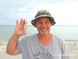 Gold-Banded Cone Found On Sanibel Island | I Love Shelling