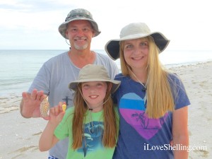 Gold-Banded Cone Found On Sanibel Island | I Love Shelling