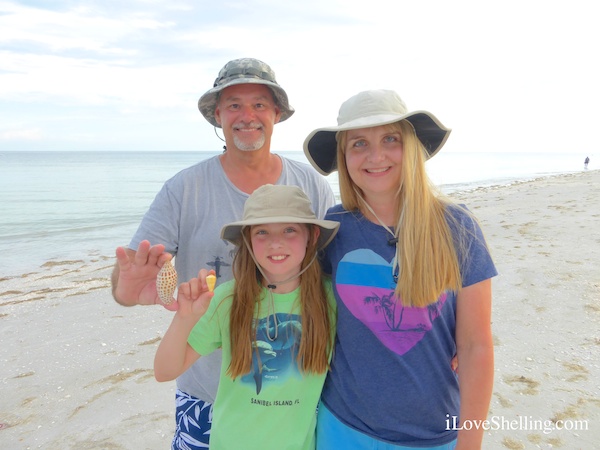 Gold-Banded Cone Found On Sanibel Island | I Love Shelling