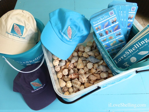 Maiden Voyage Sight Sea-R Shelling Cruise Was Incredishell | I Love ...