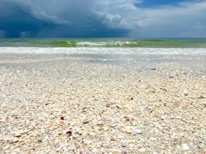 Summer on Sanibel | I Love Shelling