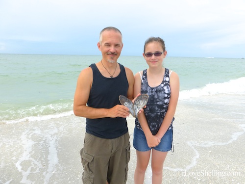 i Love Learning About Pen Shell Pearls | I Love Shelling