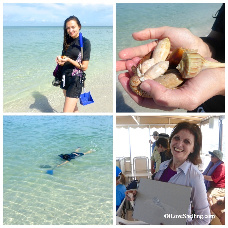 Shelling Trip Worth The Wait | I Love Shelling