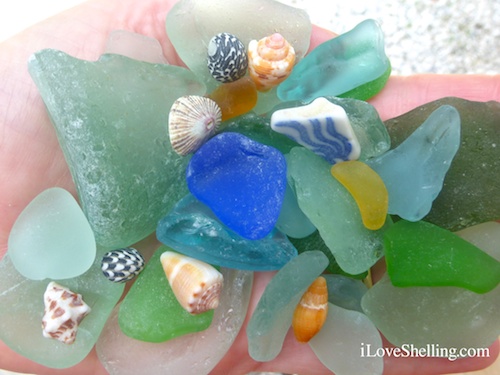 Treasures Found in Guantanamo Bay Cuba | I Love Shelling