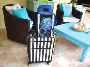 Packing Breakable Seashells Safely For Traveling | I Love Shelling