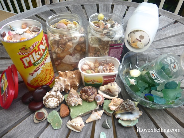 Packing Breakable Seashells Safely For Traveling | I Love Shelling