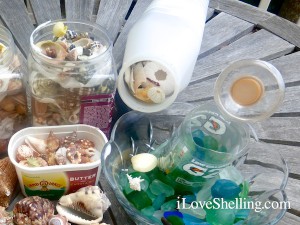 Packing Breakable Seashells Safely For Traveling | I Love Shelling