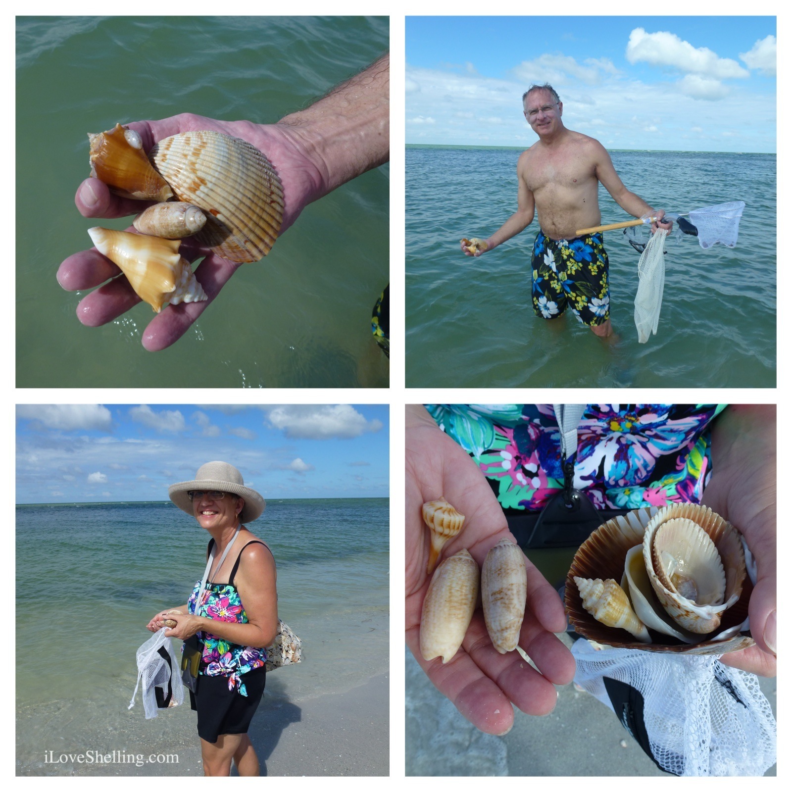 Hidden Treasures Found on Cayo Costa | I Love Shelling