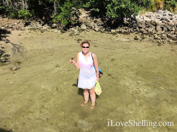 A Perfect Day For Shelling | I Love Shelling