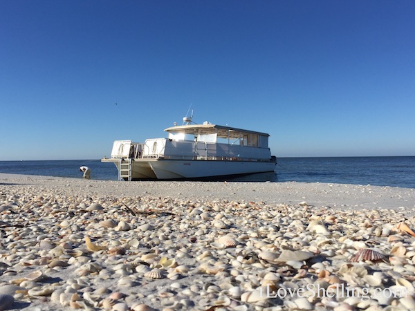 A Perfect Day For Shelling | I Love Shelling