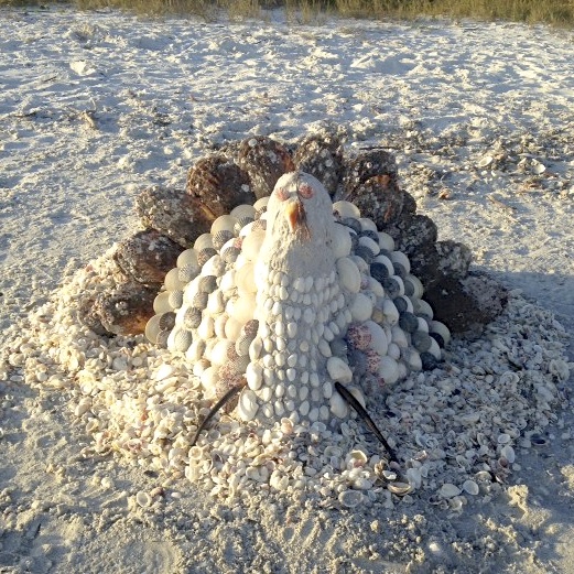 A Shelltastic Thanksgiving | I Love Shelling