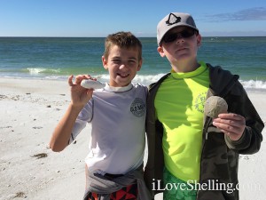 Shelling Excursion From Captiva | I Love Shelling