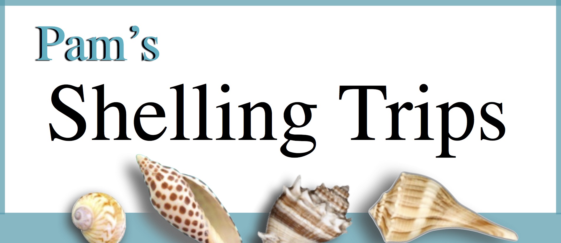 A Shelling Day For Angels | I Love Shelling