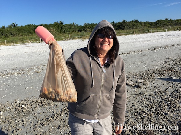 Beach Combing Continues | I Love Shelling