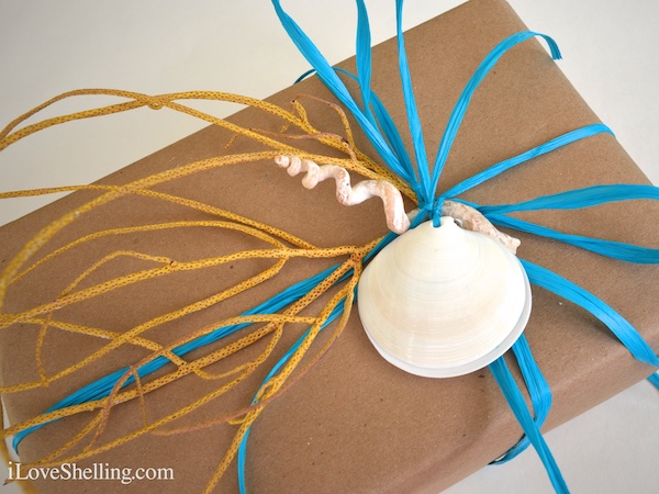 How To Use Seashells For Gift Tags | I Love Shelling